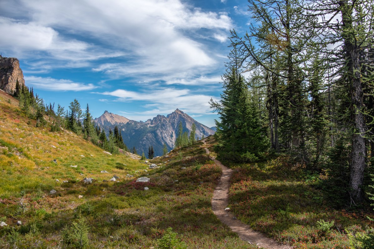 Your Coach – Sonja Carson